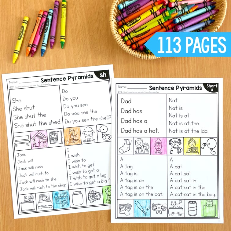 MEGA Phonics Worksheet Bundle (SCIENCE OF READING) - HUGE BUNDLE - My ...