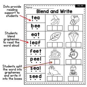 Blend and Write Phonics Worksheets - Orthographic Mapping (Science of ...